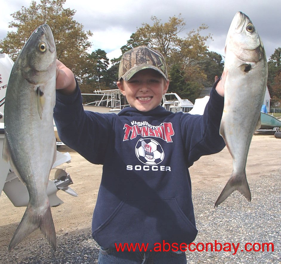 Southern New Jersey Fishing Report 10-4-12