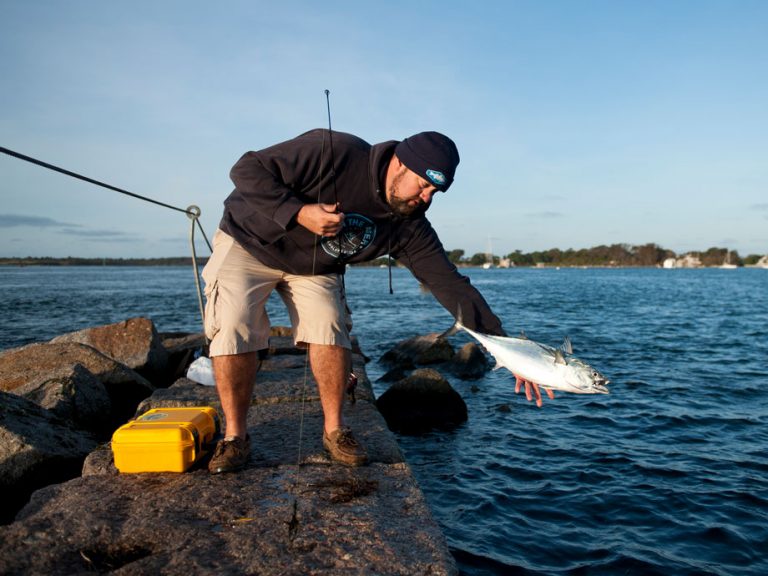 How to Catch Bonito and Albies From Shore