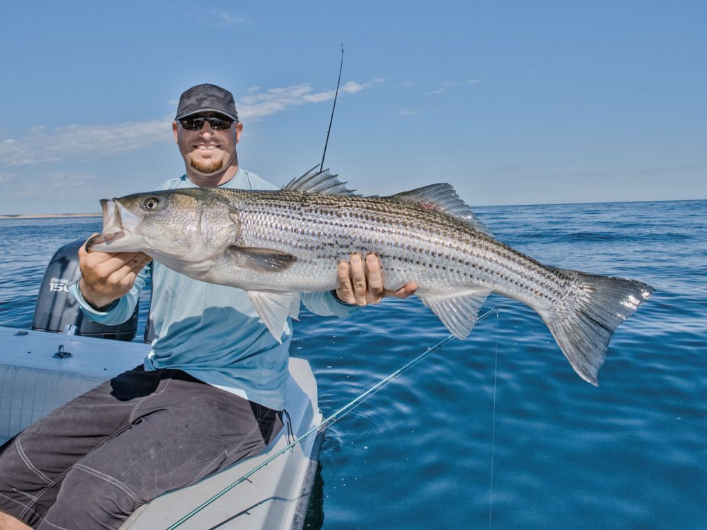 The Striper Migration: When Will the Bass Return? - On The Water