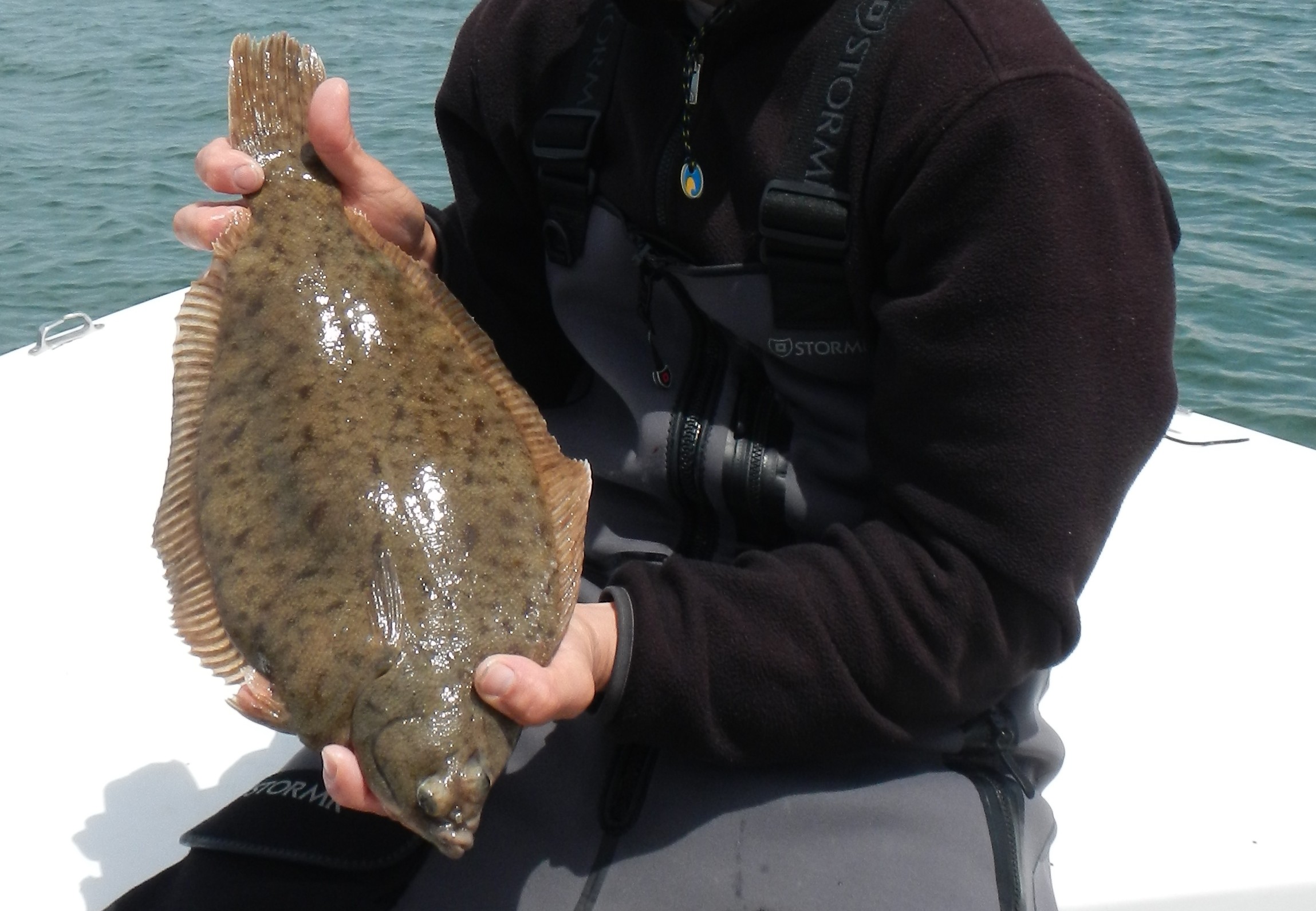 Boston Harbor Flounder (Little Sister Charters) - On The Water