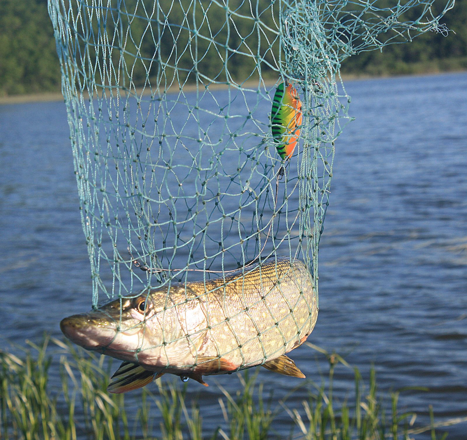 Connecticut River Pike - On The Water
