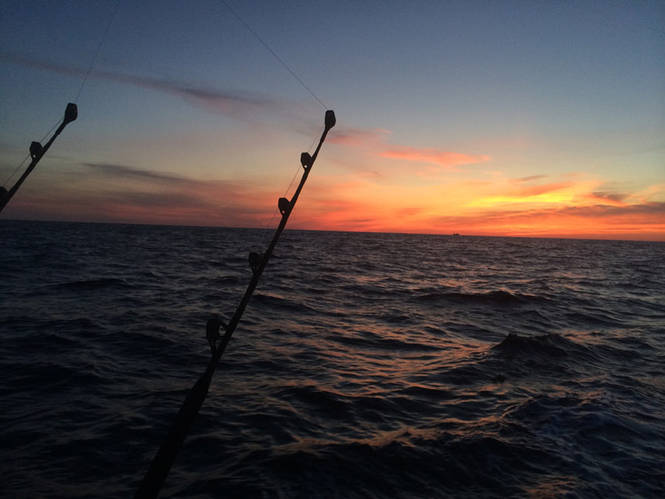 Atlantis Canyon Report - June 15th & 16th - On The Water