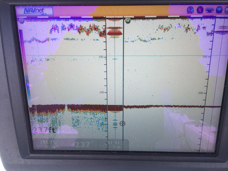 Atlantis Canyon Report - June 15th & 16th - On The Water