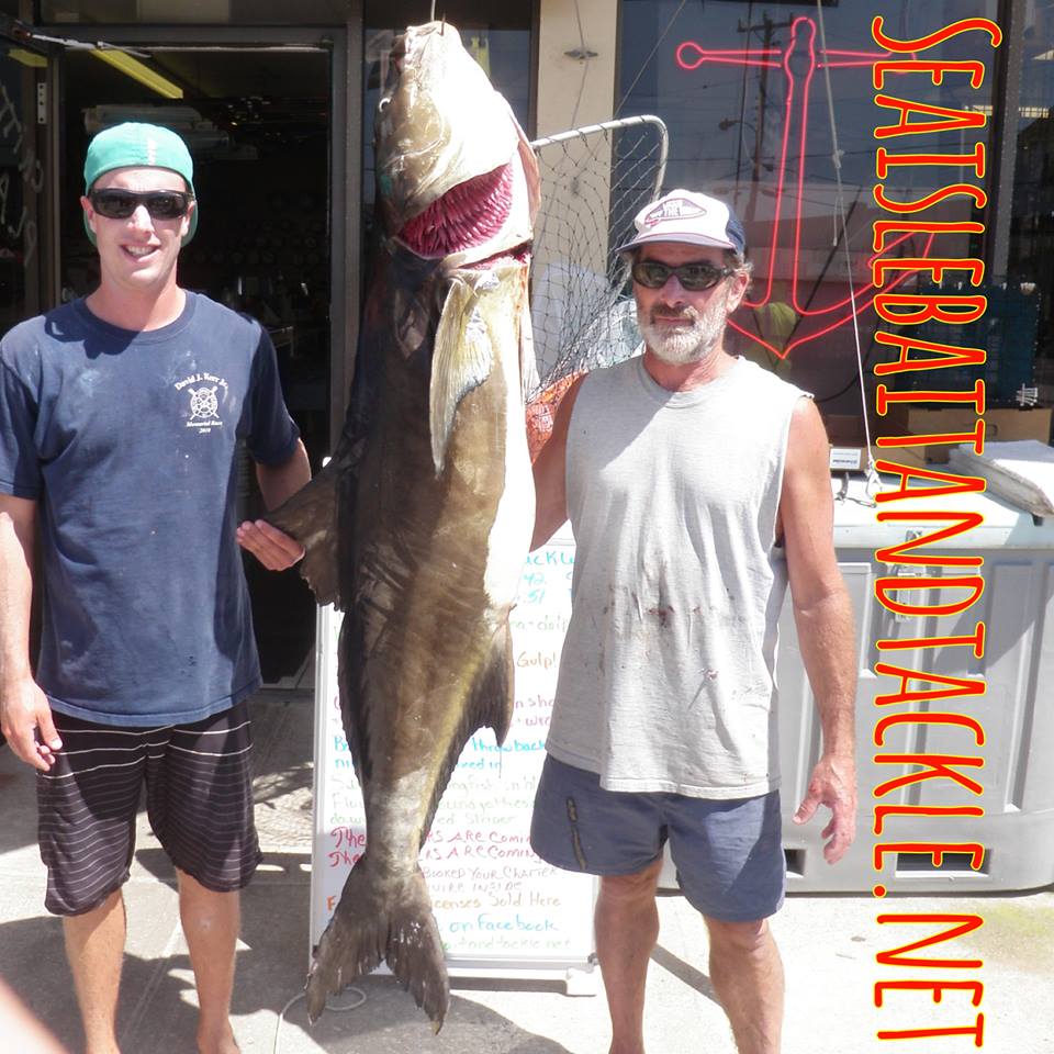 86-pound New Jersey Cobia Challenges State Record - On The Water