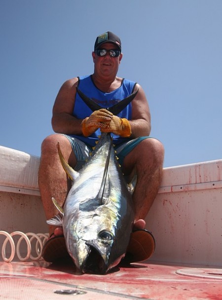 Inshore Yellowfin Frenzy off New Jersey - On The Water