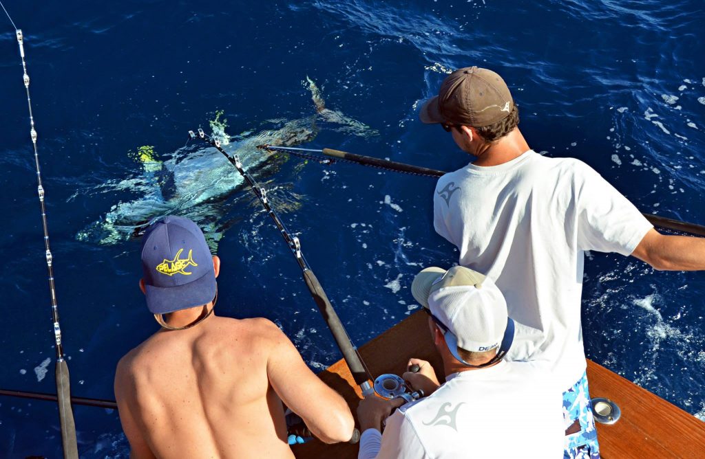 Video: Yellowfin and Bigeye at Hudson and Fishtails Canyon - On The Water