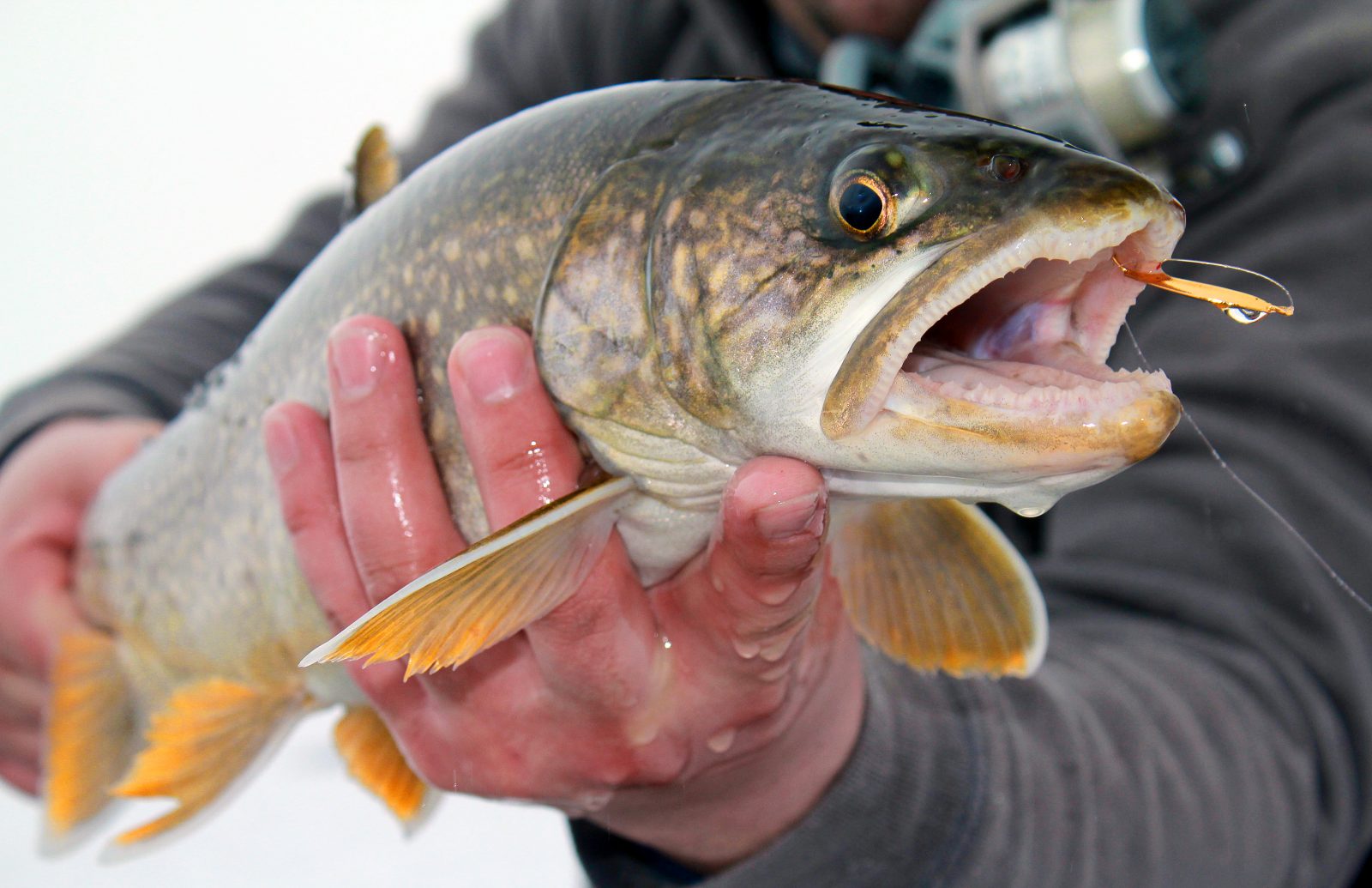 Just Jigging - On The Water
