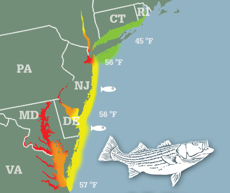 Striper Migration Map - April 28, 2015 - On The Water