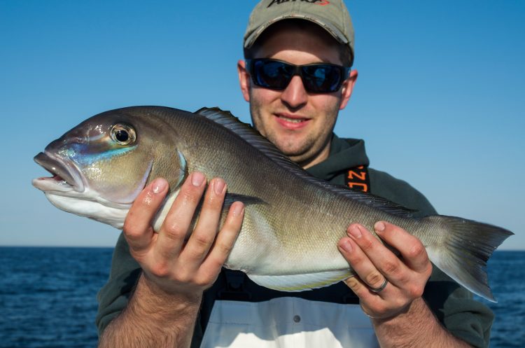 The Tilefish Ache - On The Water