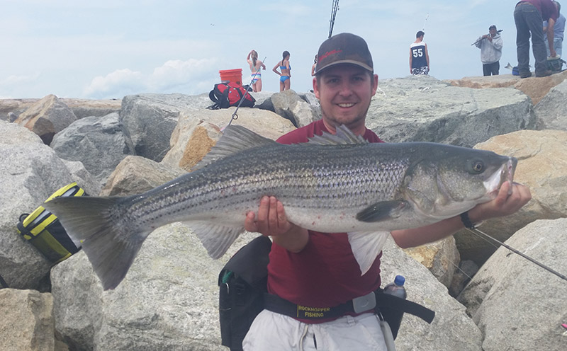 Approaching a half mile of Striped Bass Safely Released! - On The Water