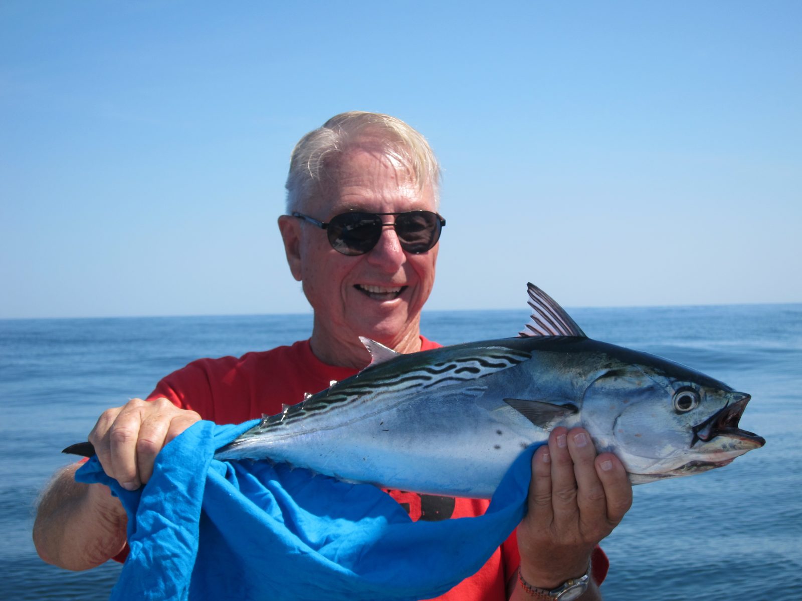 Cape Cod Fish