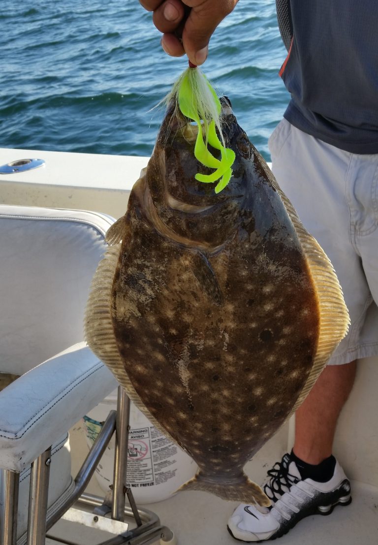 New Fishing Lure Improves on Seaworms, Pork Rinds, and Plastic Trailers ...