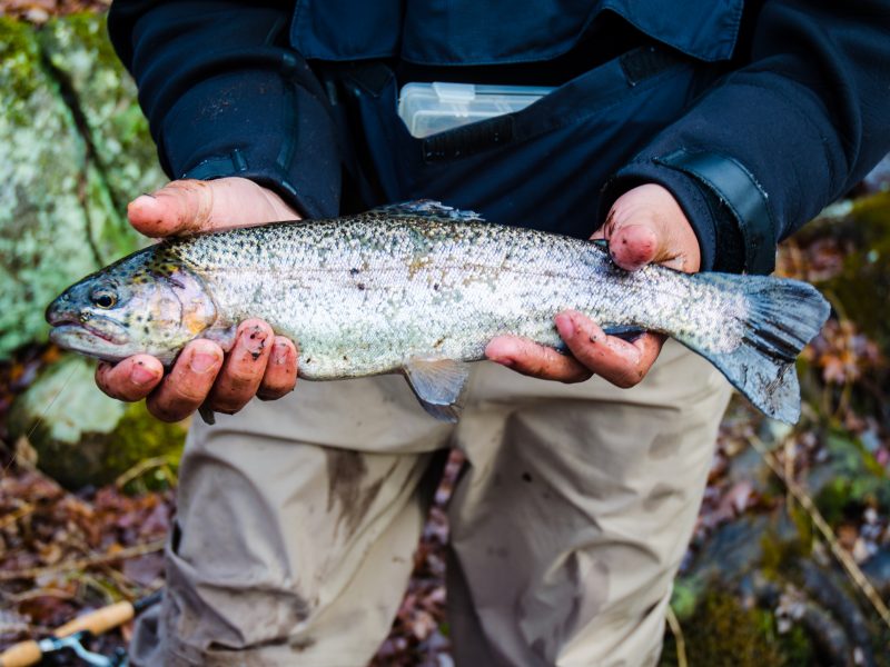 Cape Cod Fishing Report - March 10, 2016 - On The Water
