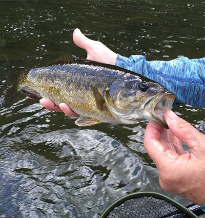 Pennsylvania Fishing Report – October 15, 2020 - On The Water