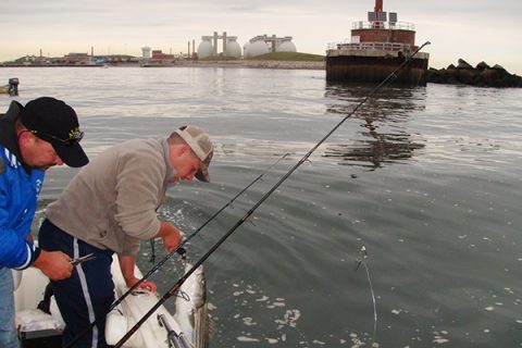 The Pogy Principle - On The Water