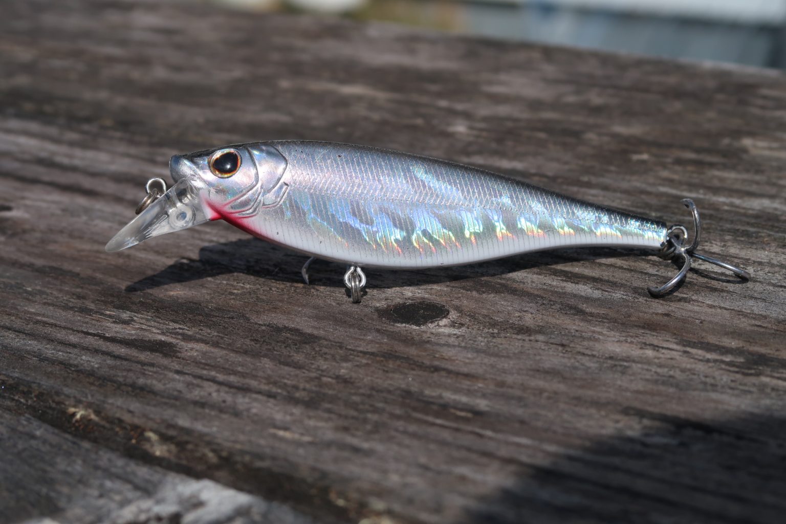 Dissecting Lure Colors for Striped Bass - On The Water