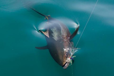 The Spinning Rod Revolution - On The Water