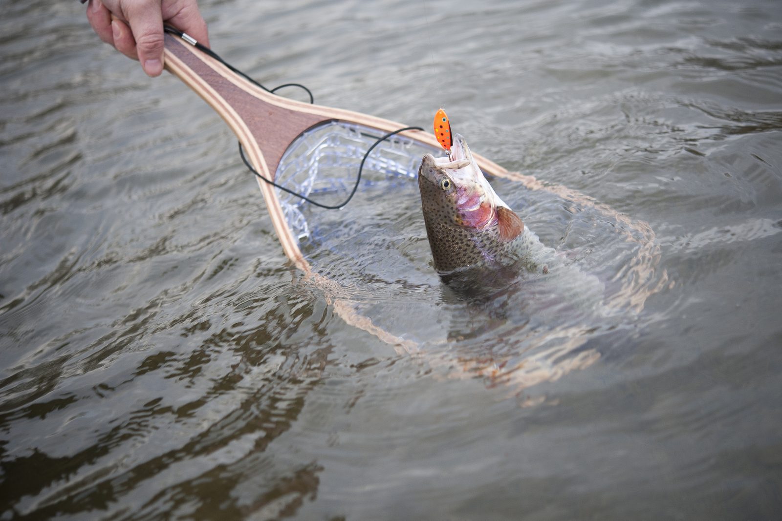 Five Lures for Winter Trout Fishing - On The Water