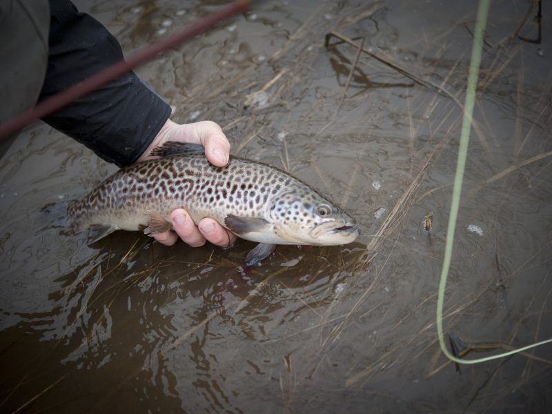 Cape Cod Fishing Report - April 6, 2017 - On The Water