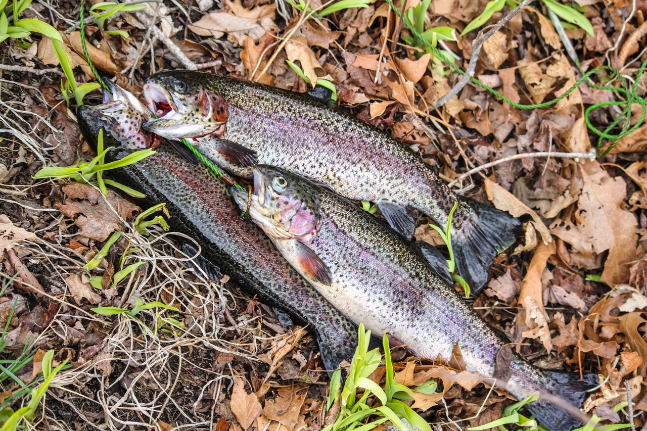 Cape Cod Fishing Report - March 29, 2018 - On The Water