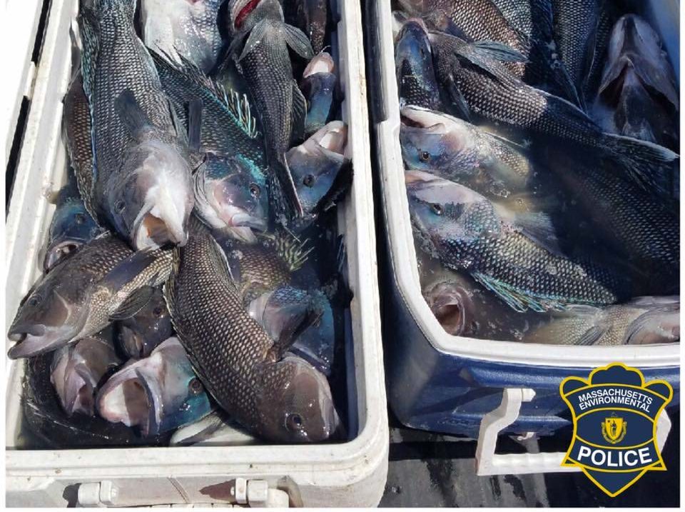 New Hampshire Commercial Fishermen Busted Poaching In Massachusetts ...