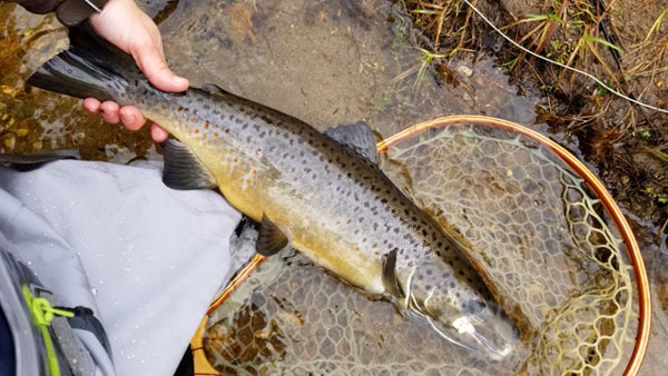 Find a Vermont Fishing Guide - On The Water