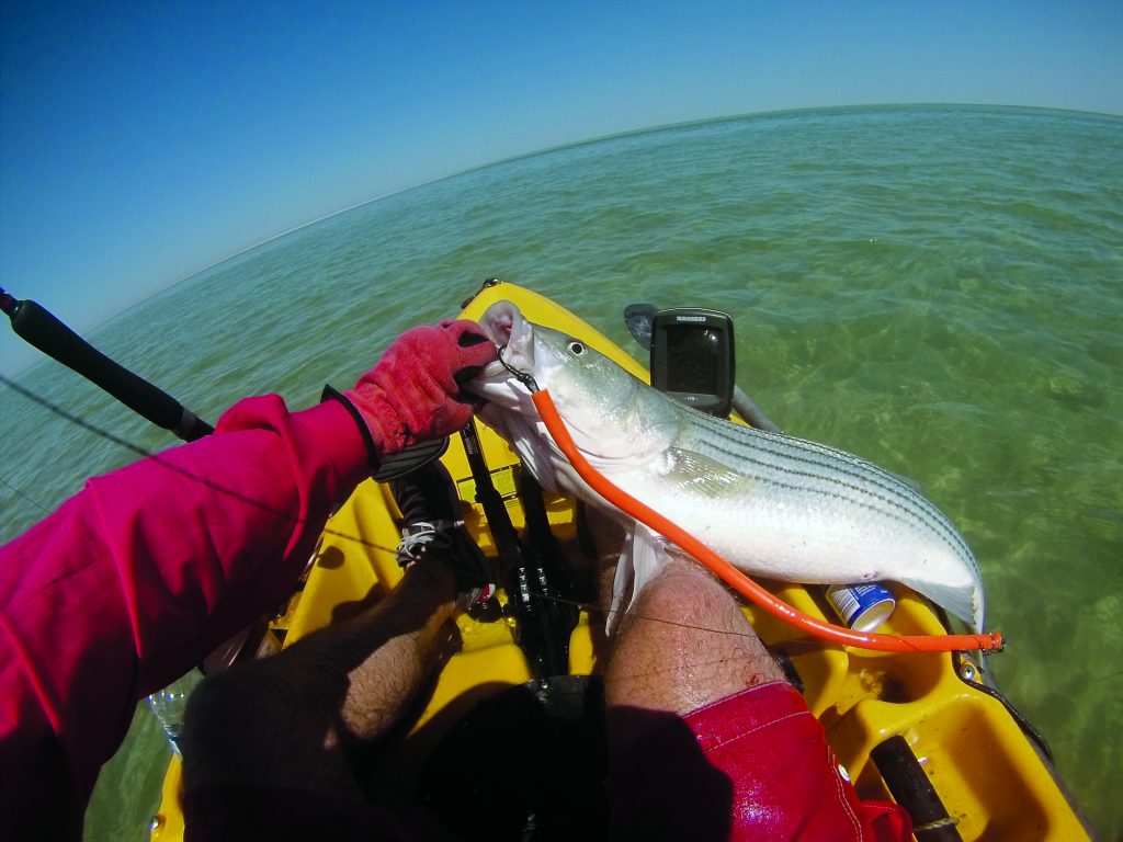 How to Catch Keeper Stripers with a Tube - On The Water