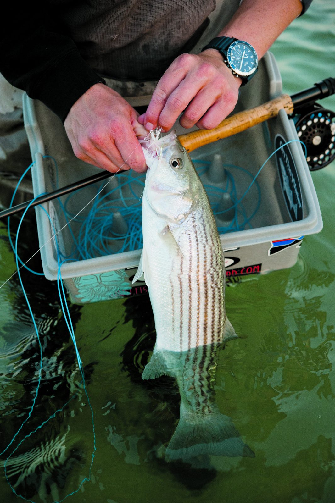 10 Tips for Fly Fishing the Surf - On The Water