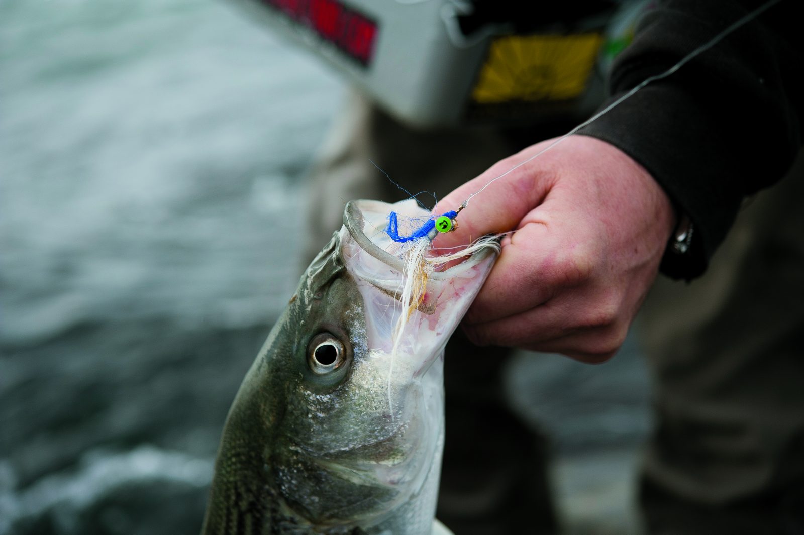10 Tips for Fly Fishing the Surf - On The Water
