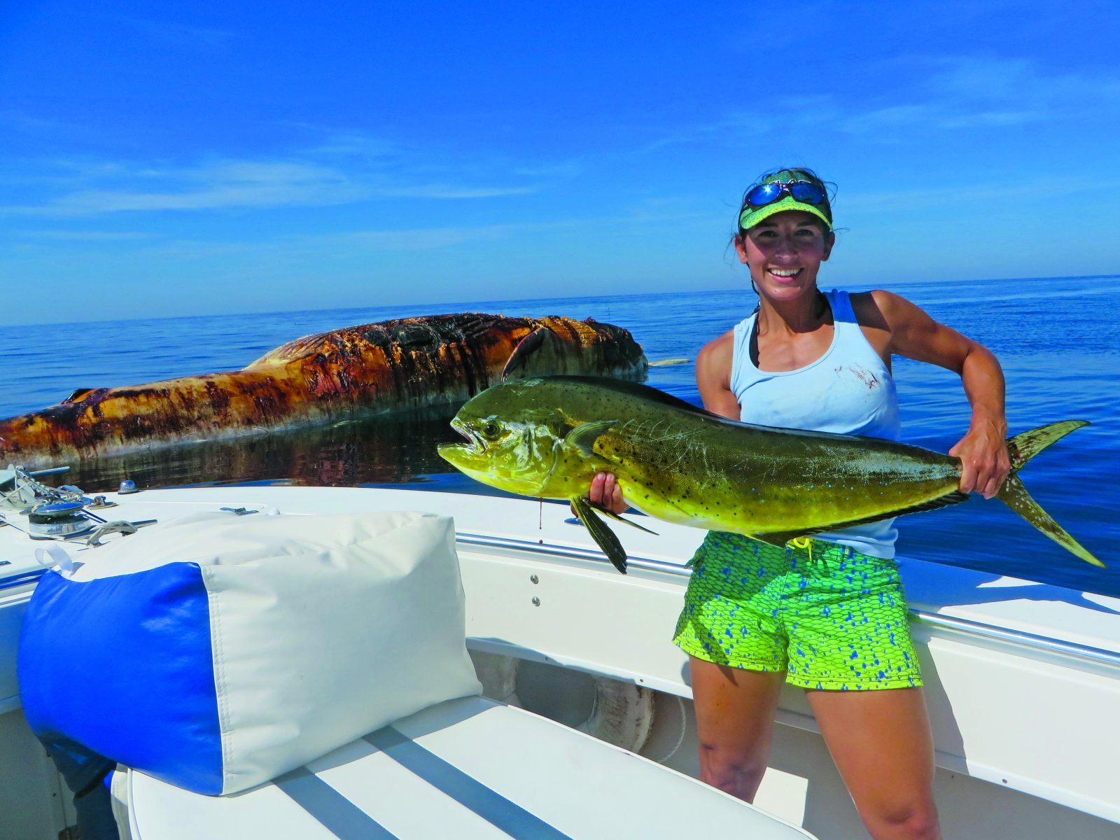 Using Inshore Baits for Offshore Fish - On The Water