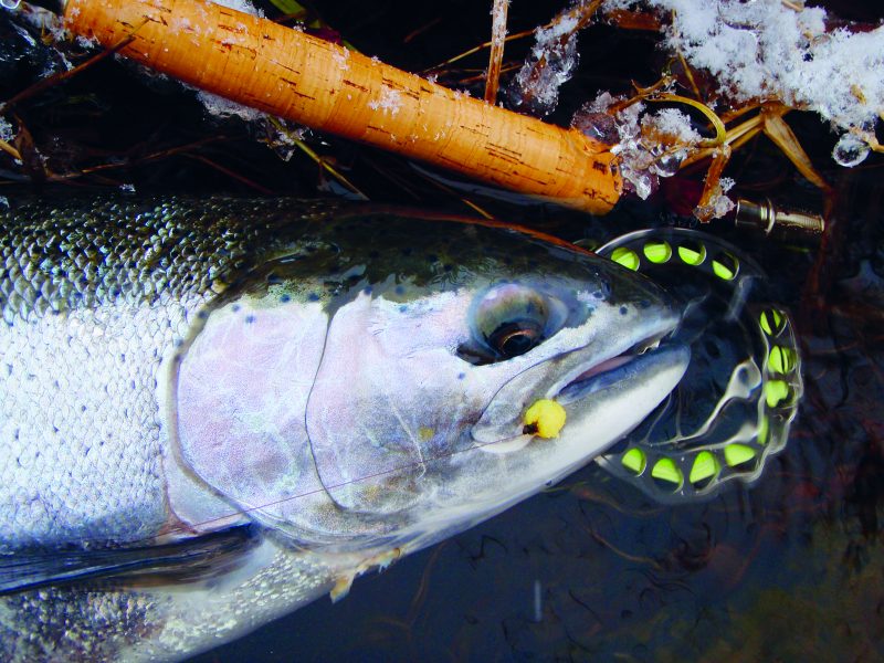 Fishing for Salmon River Steelhead - On The Water