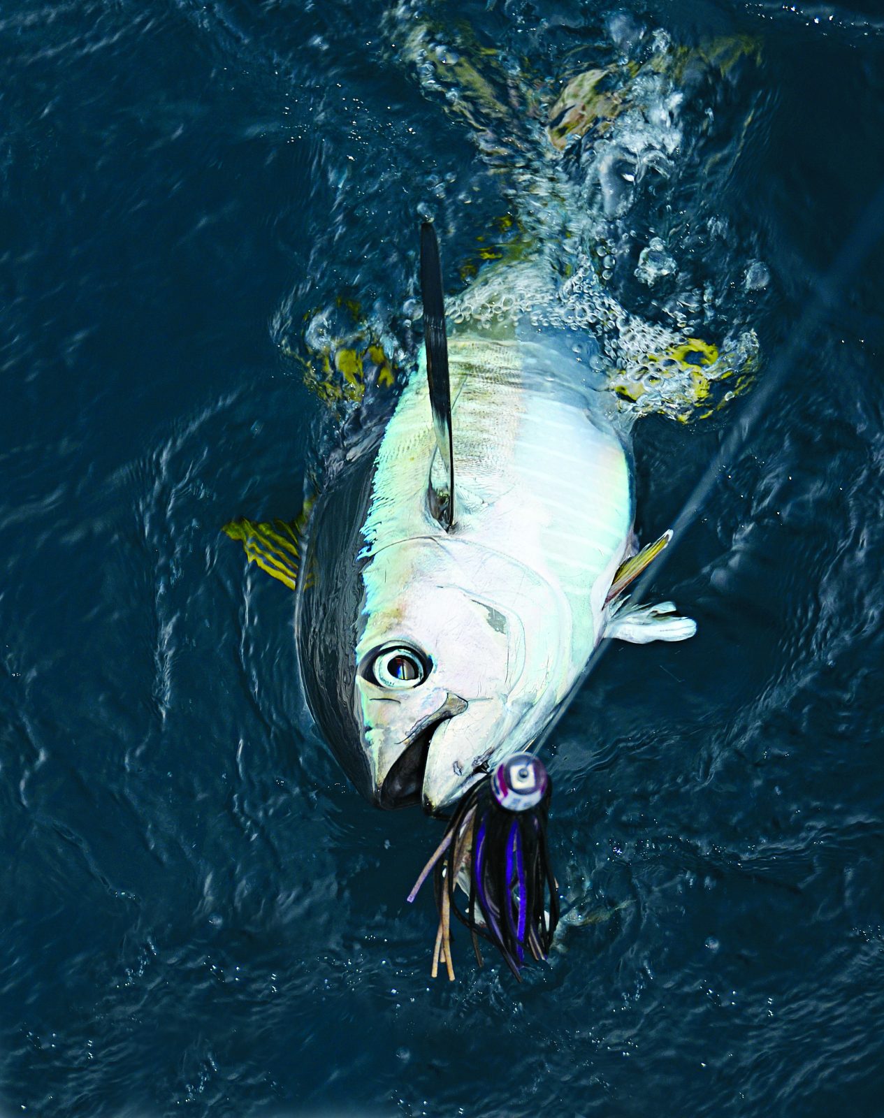 Using Hawaiian Trolling Techniques for Northeast Tuna - On The Water