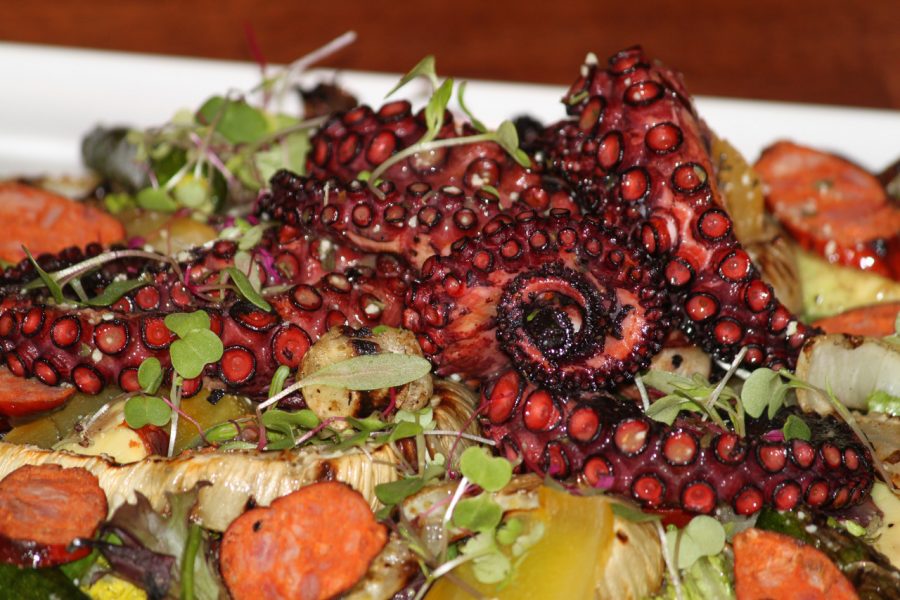 Recipe: How to Cook an Octopus - On The Water