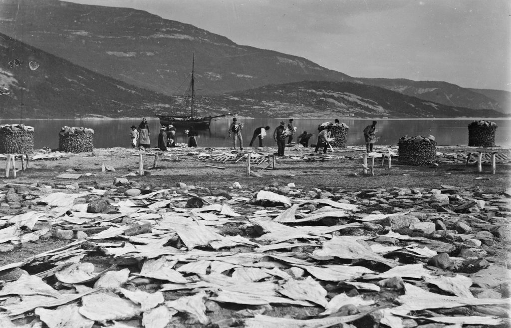 Bermuda Fish Cakes - On The Water