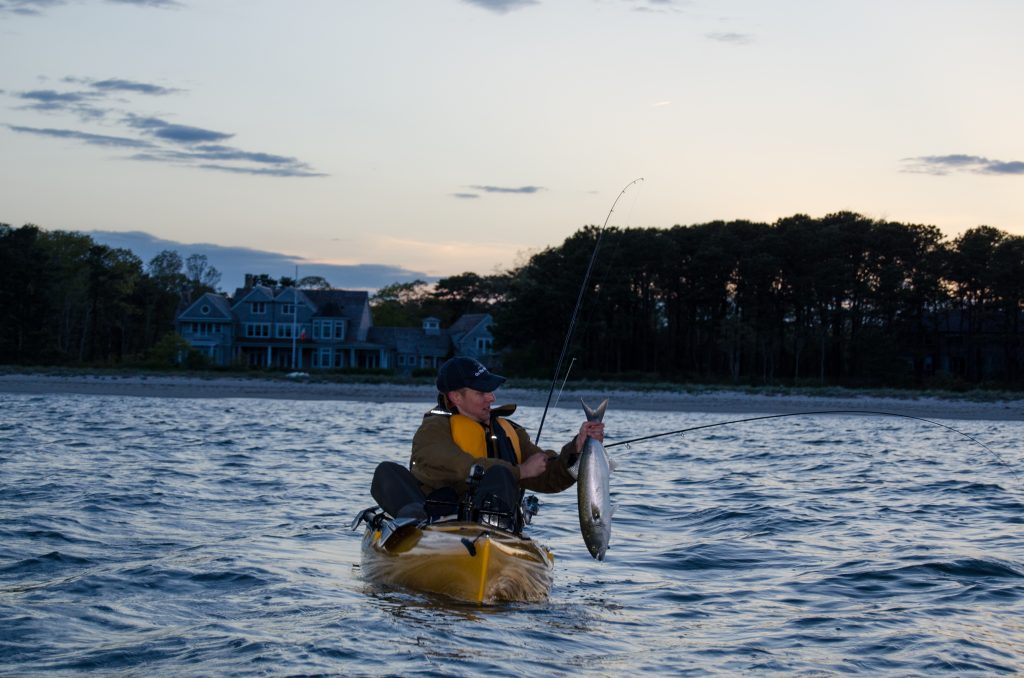 Bob's Banger: The Best Bluefish Fly - On The Water