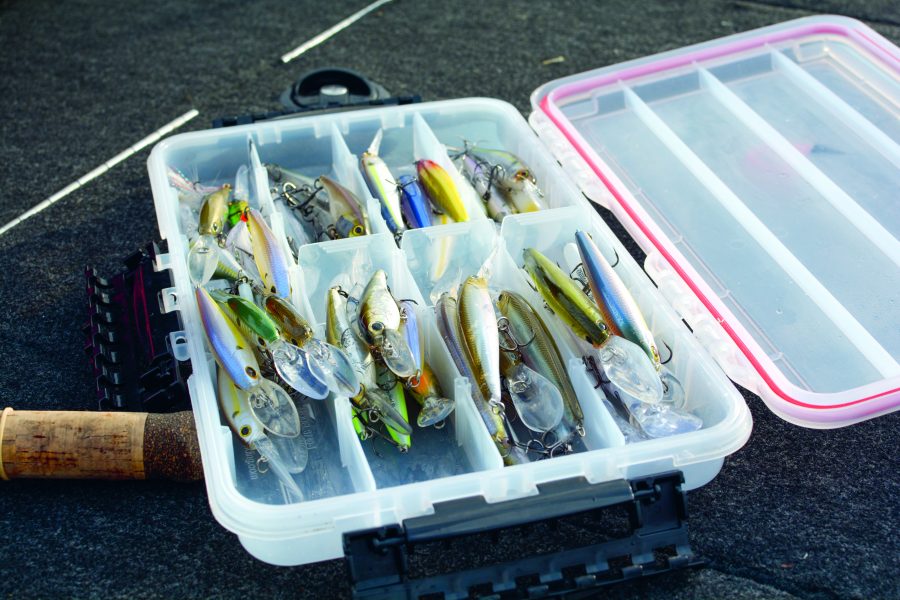 How to Fish Jerkbaits