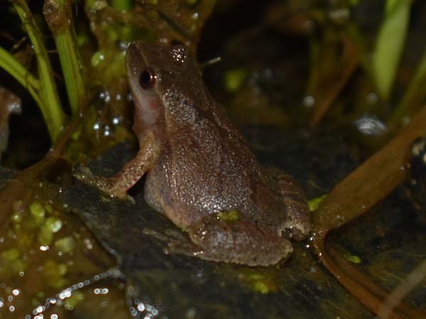 Pennsylvania Fishing Report – April 11, 2019 - On The Water