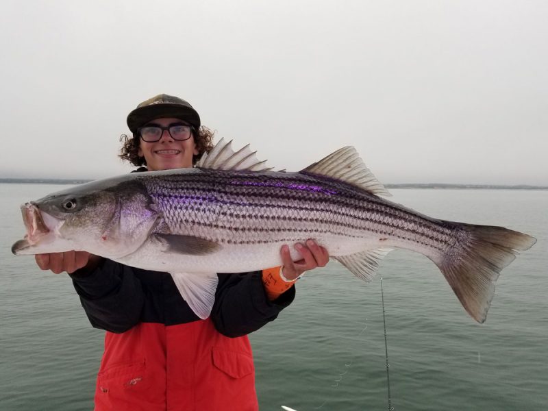 Cape Cod Fishing Report - June 27, 2019 - On The Water