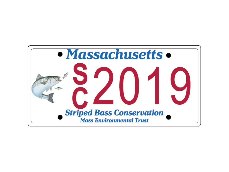Massachusetts Striper Plate Update - On The Water