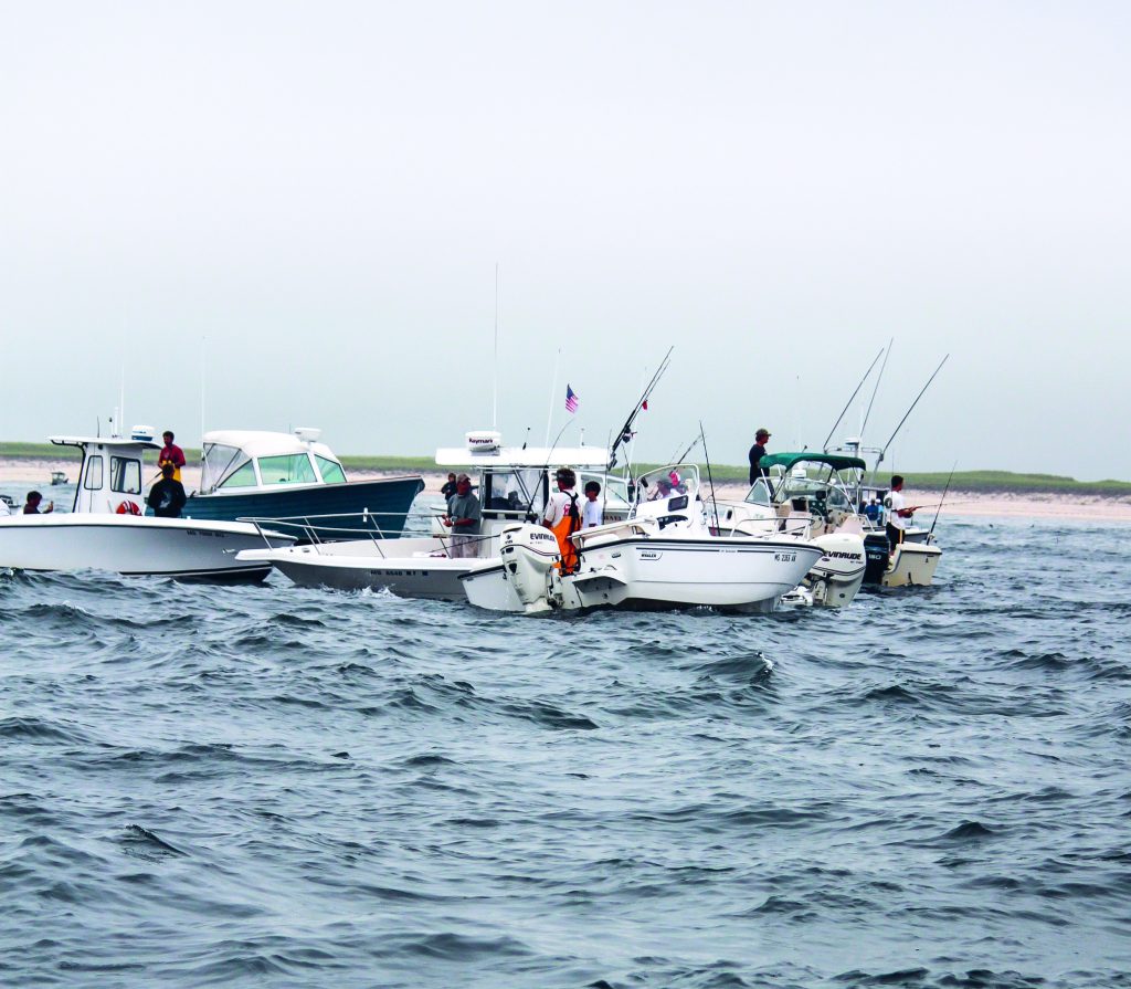 BPM Blog Archives - Beacon Point Marine