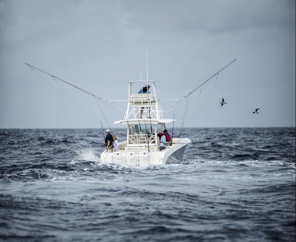 After Six Decades of Innovation, Boston Whaler Remains the Unsinkable ...