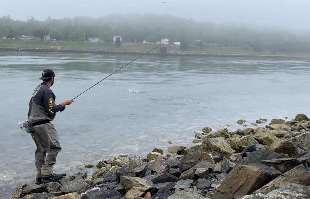 Fly Fishing the Cape Cod Canal - On The Water