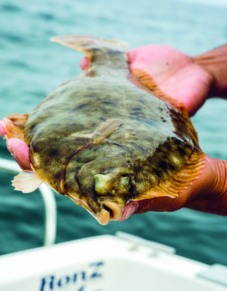 Winter Flounder Fishing on Cape Cod
