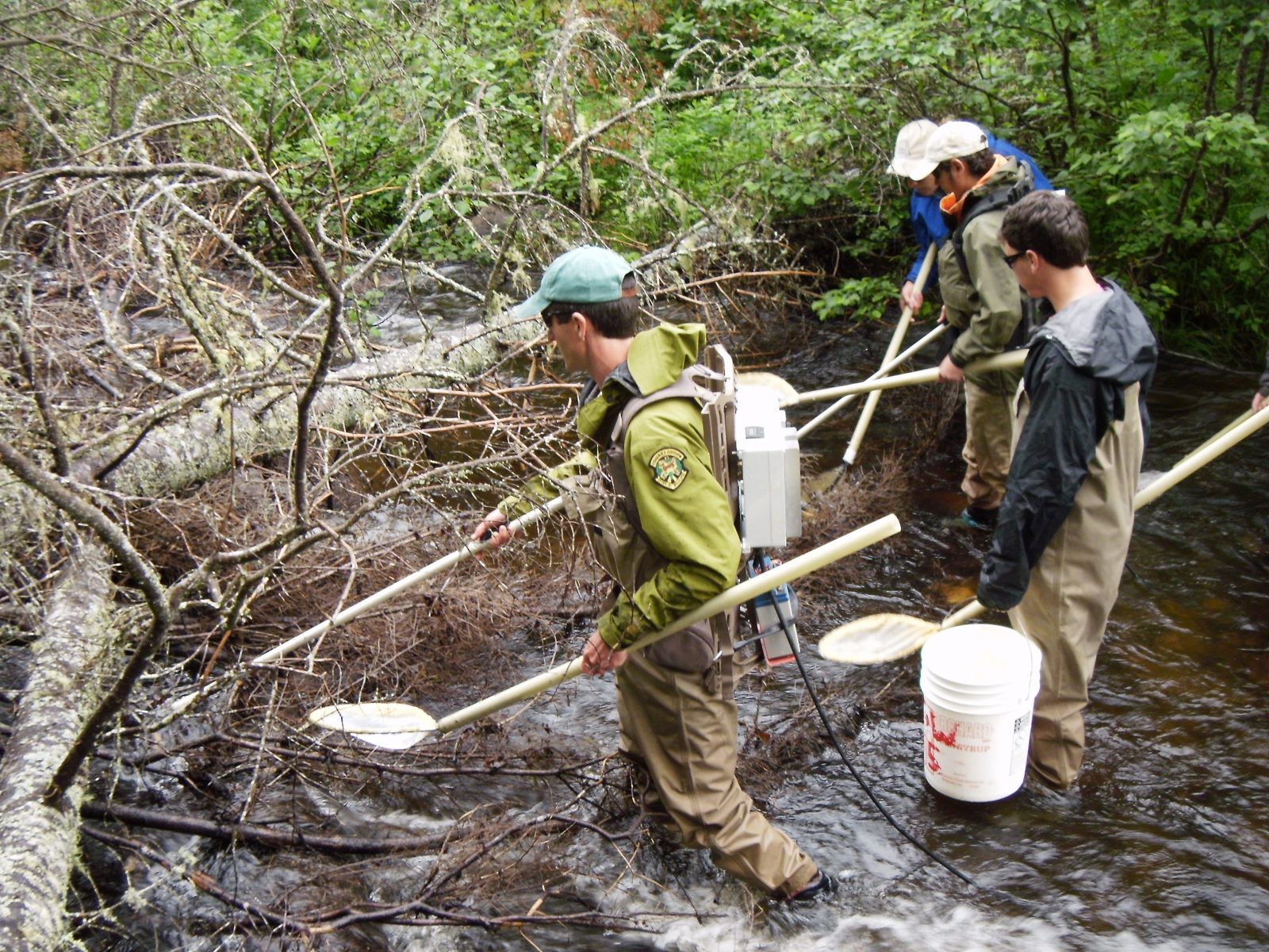 How To Find and Catch Brook Trout - On The Water