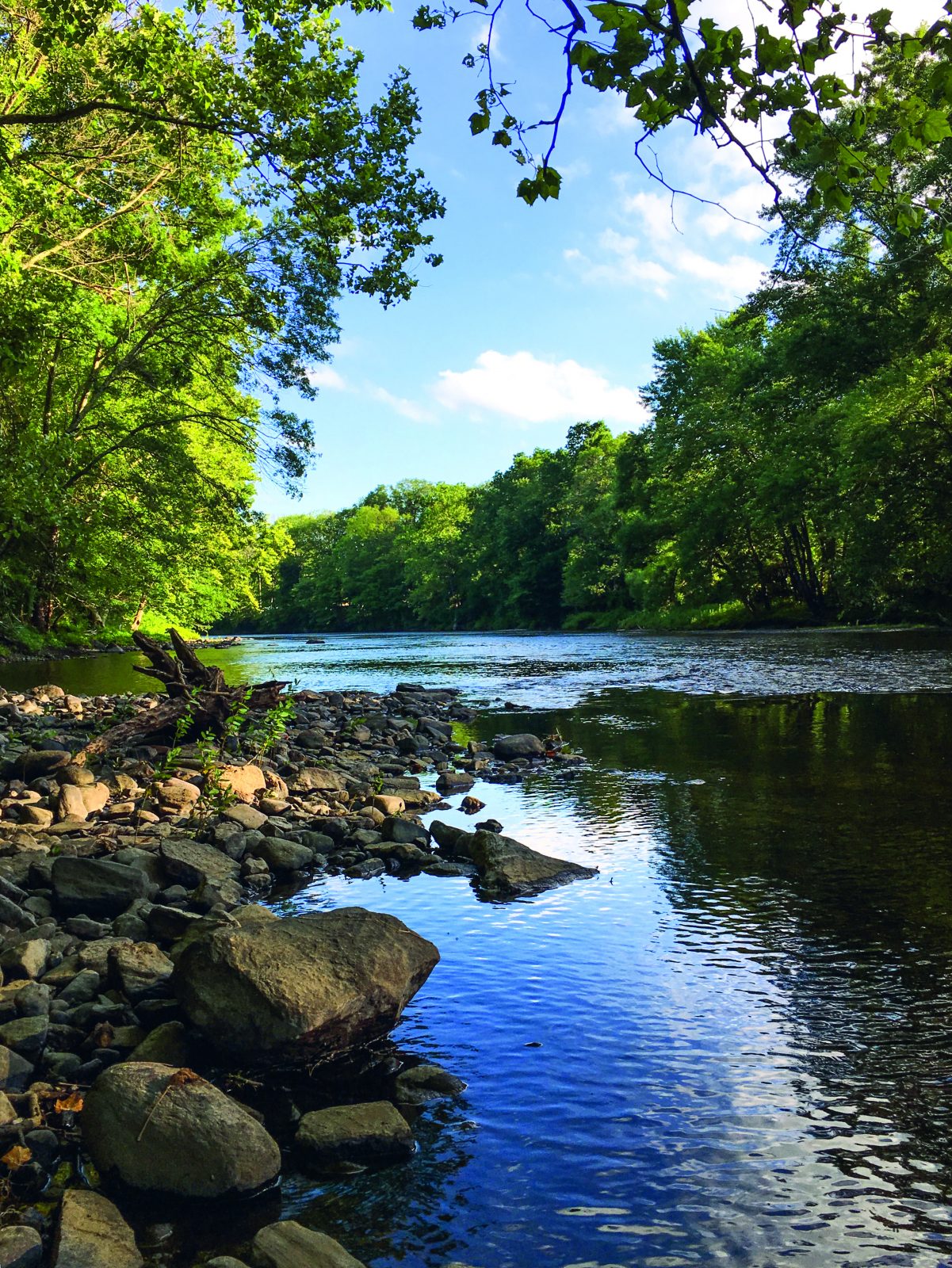 Fishing the Quinebaug River - On The Water