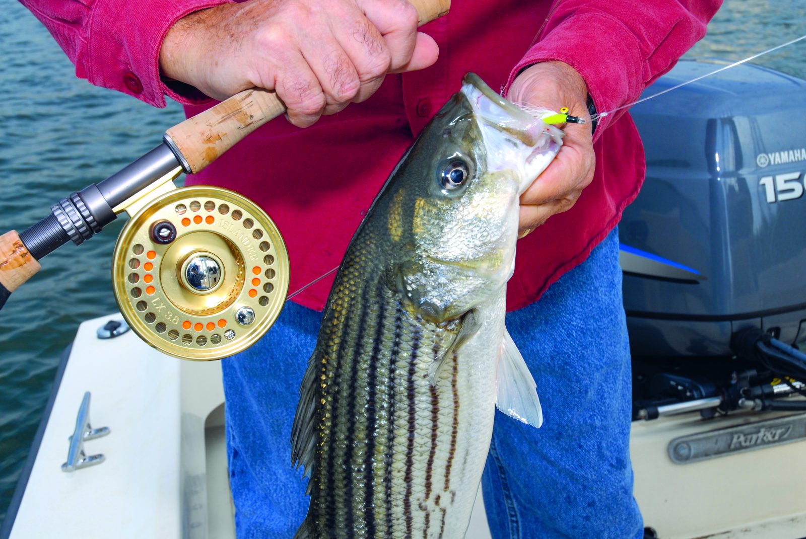 The Remarkable Clouser Deep Minnow - On The Water