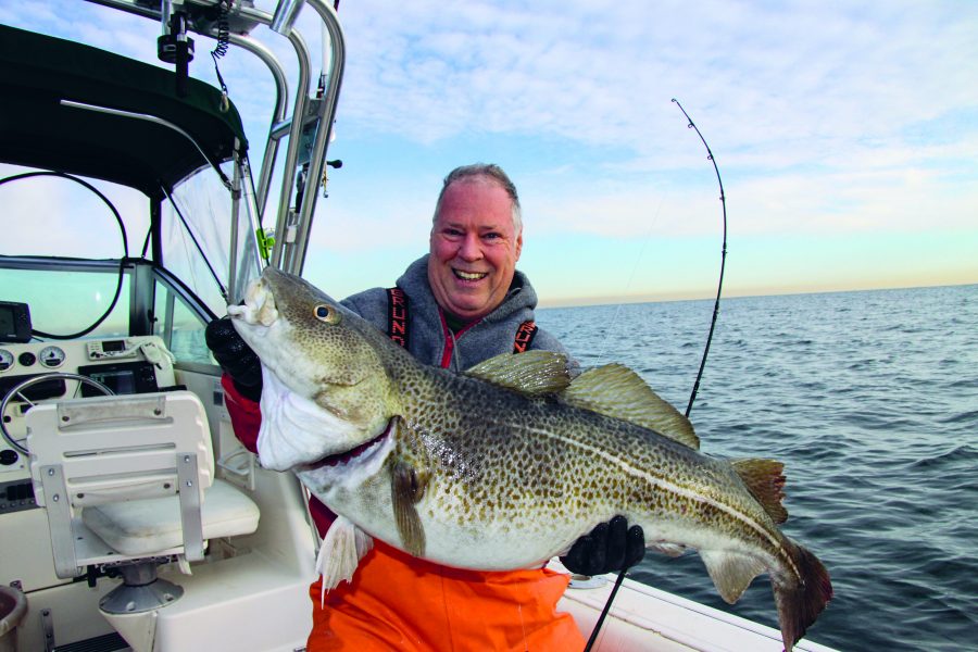 The History of Cod - On The Water