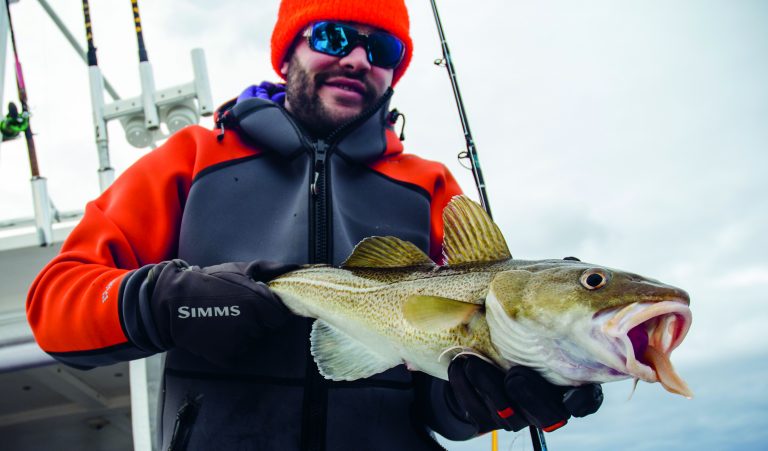 The History of Cod - On The Water