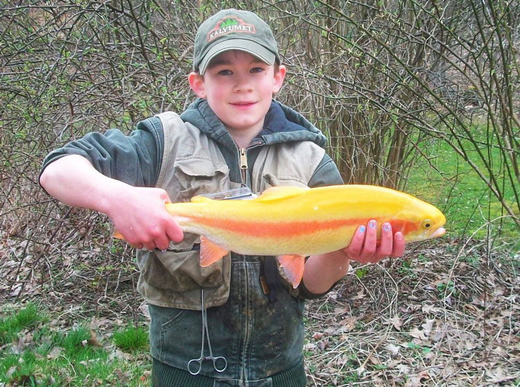 Pennsylvania Fishing Report – April 16, 2020 - On The Water