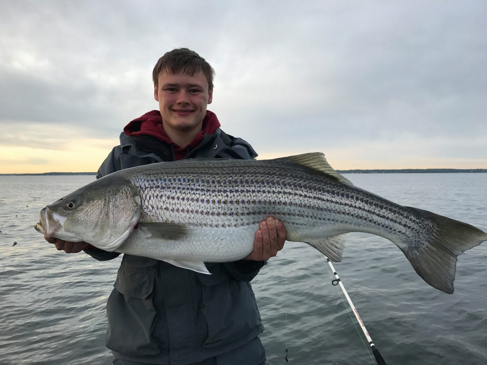 Striper Migration Map - May 1, 2020 - On The Water